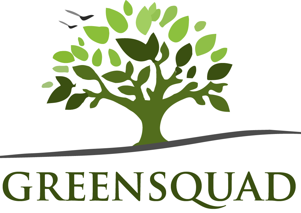 QCT Network's young leaders' collaboration in environmental activism in ...